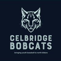 Celbridge Bobcats Youth Baseball Club – Bringing youth baseball to ...
